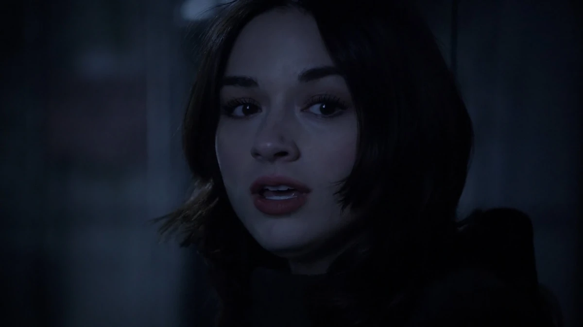 Allison Argent | DC Arrow Rebirth Wiki | Fandom