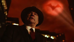 Earth-789 | DC Burtonverse Wiki | Fandom