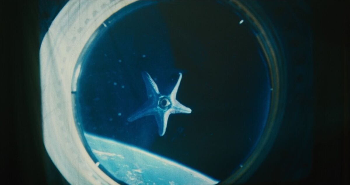 Starro/Bilder | DC Extended Universe Wiki | Fandom
