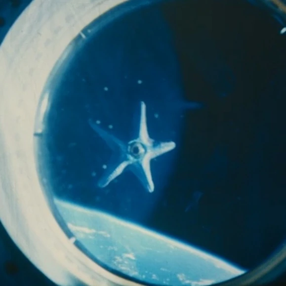 Projekt Starfish (DCEU) | DC Extended Universe Wiki | Fandom