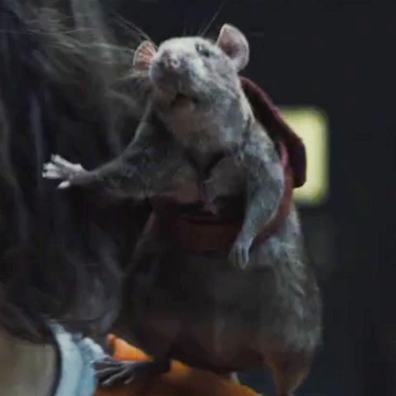 Sebastian | DC Extended Universe Wiki | Fandom