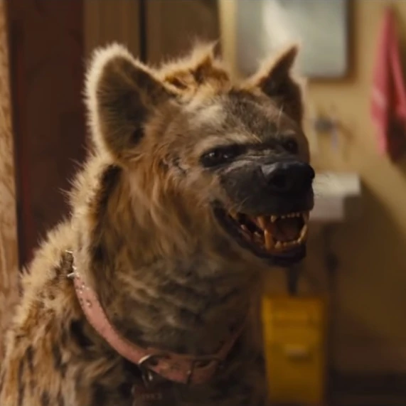 Bruce | DC Extended Universe Wiki | Fandom