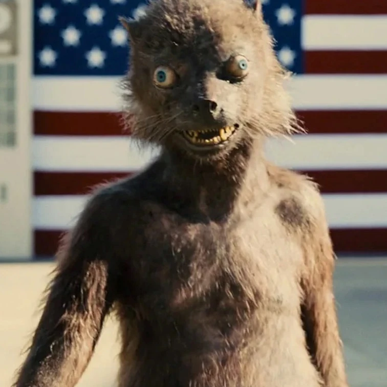 Weasel | DC Extended Universe Wiki | Fandom