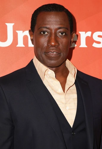 Wesley Snipes | DC Comics Cinematic Universe Wiki | Fandom