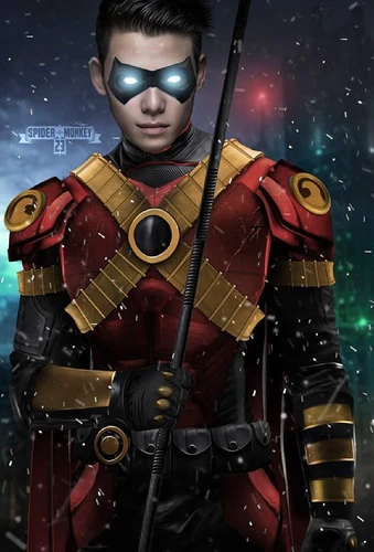 Tim Drake | DC Heroes and Villians Wiki | Fandom