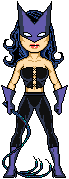 Catwoman | Dc Microheroes Wiki | Fandom