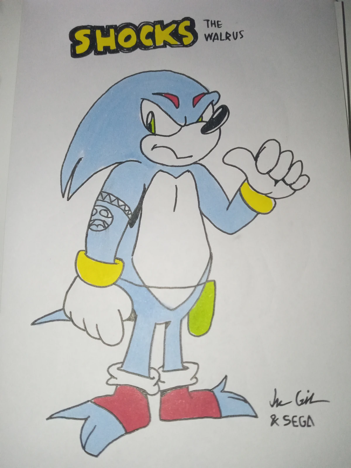 Shocks-the-Walrus (Kanekalon) | DC Super Hero Girls Fanon Wiki | Fandom