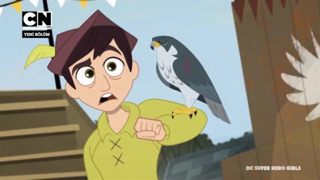 Falconer | DC Super Hero Girls Wikia | Fandom