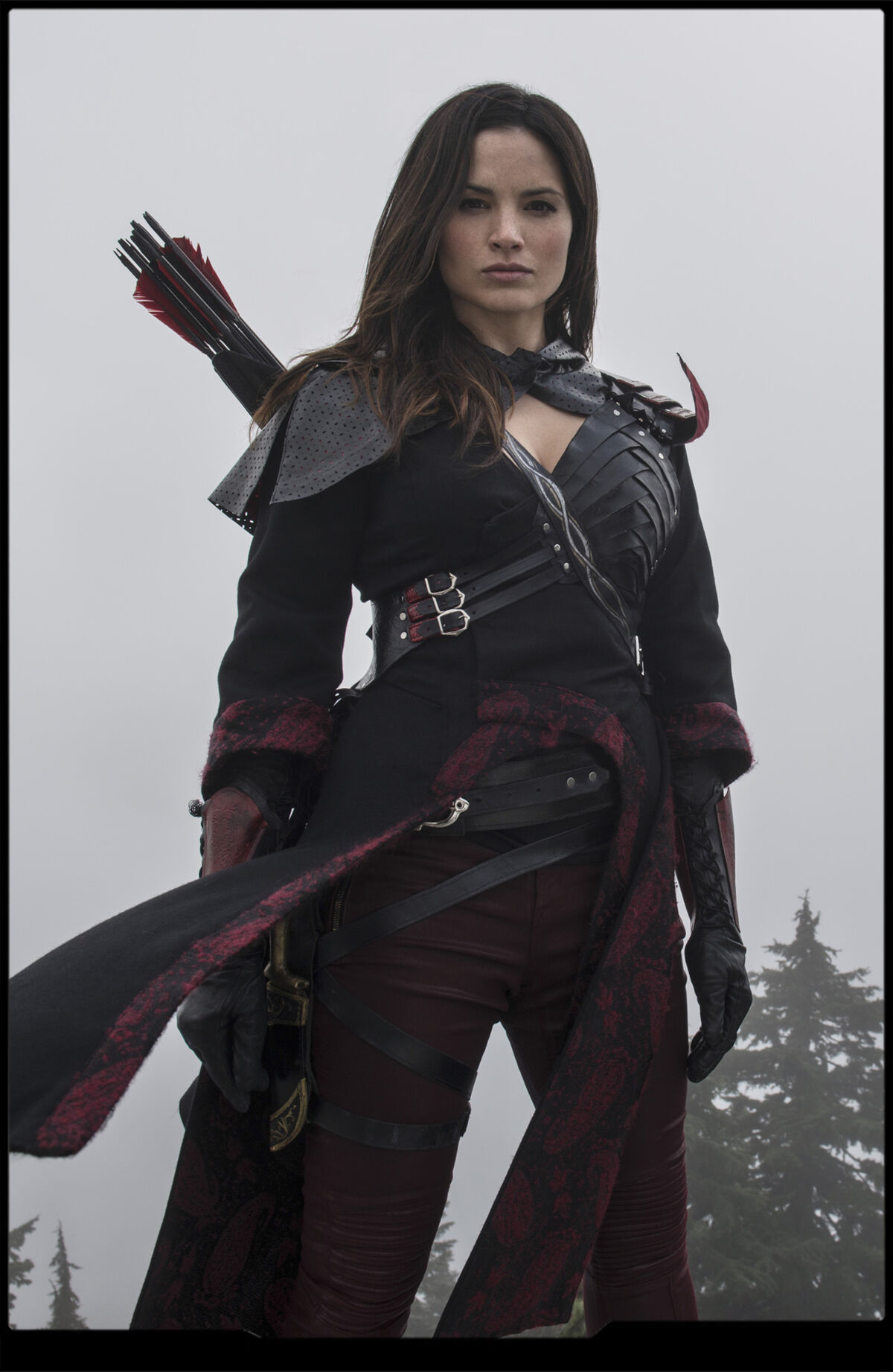 Nyssa al Ghul | DC Televised Universe Wikia | Fandom Nyssa al Ghul | DC Televised Universe Wikia | Fandom