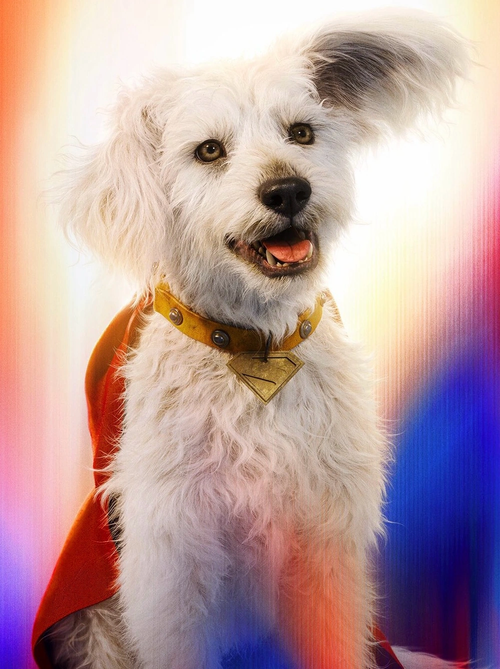 Krypto | Wiki DC Universe | Fandom