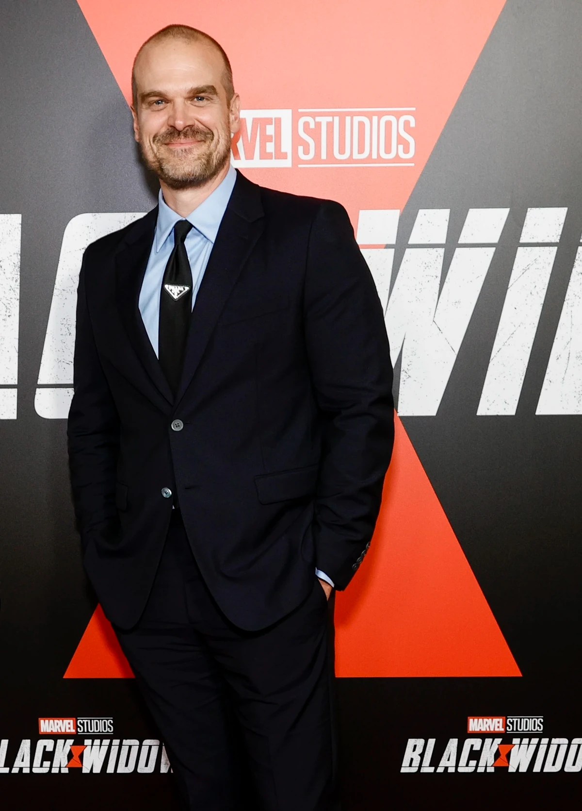 David Harbour | Wiki DC Universe | Fandom