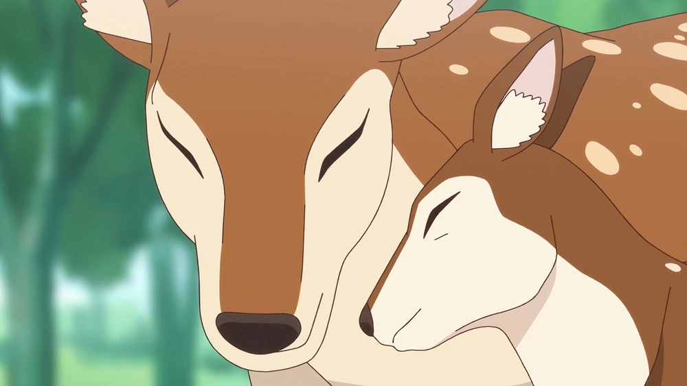 Sika Deer: I explain the real animals that appear in "Wonderful Pretty ...