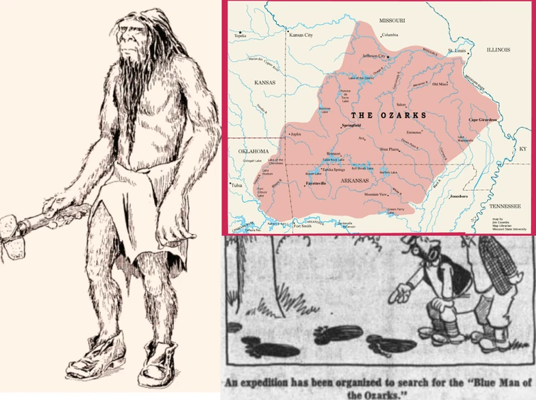 Discuss Everything About Cryptid Wiki | Fandom