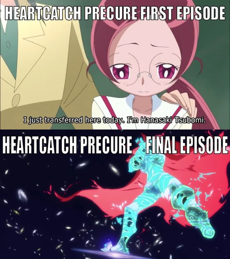 Random precure memes (not made by me) | Fandom