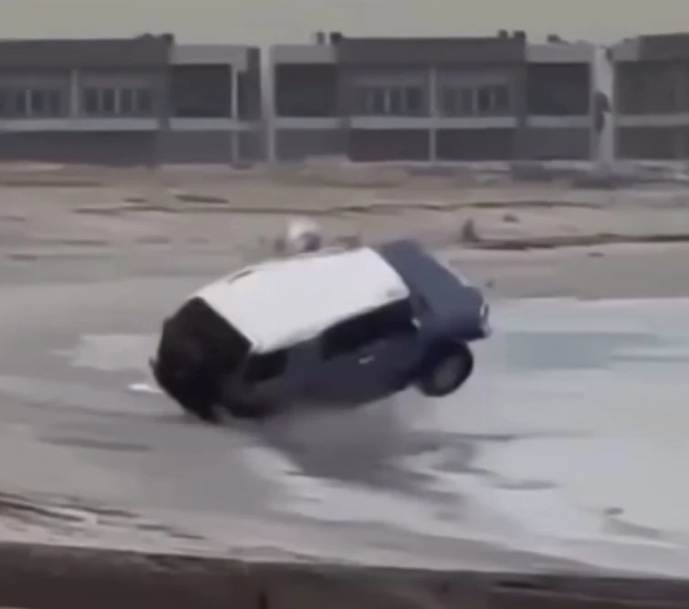 Pfp tournament | Fandom