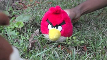 Discuss Everything About SML Wiki | Fandom