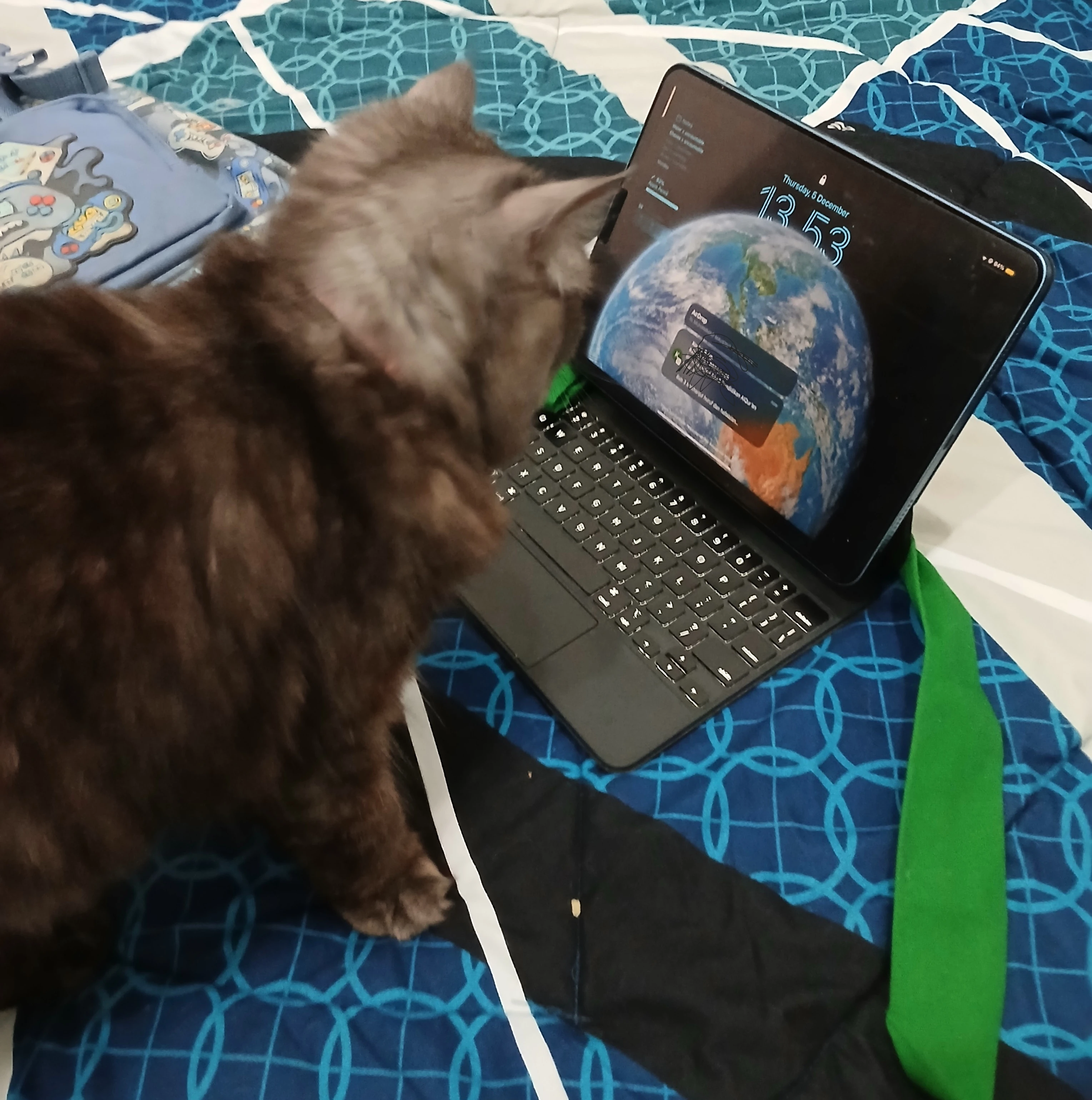 Little hacker | Fandom