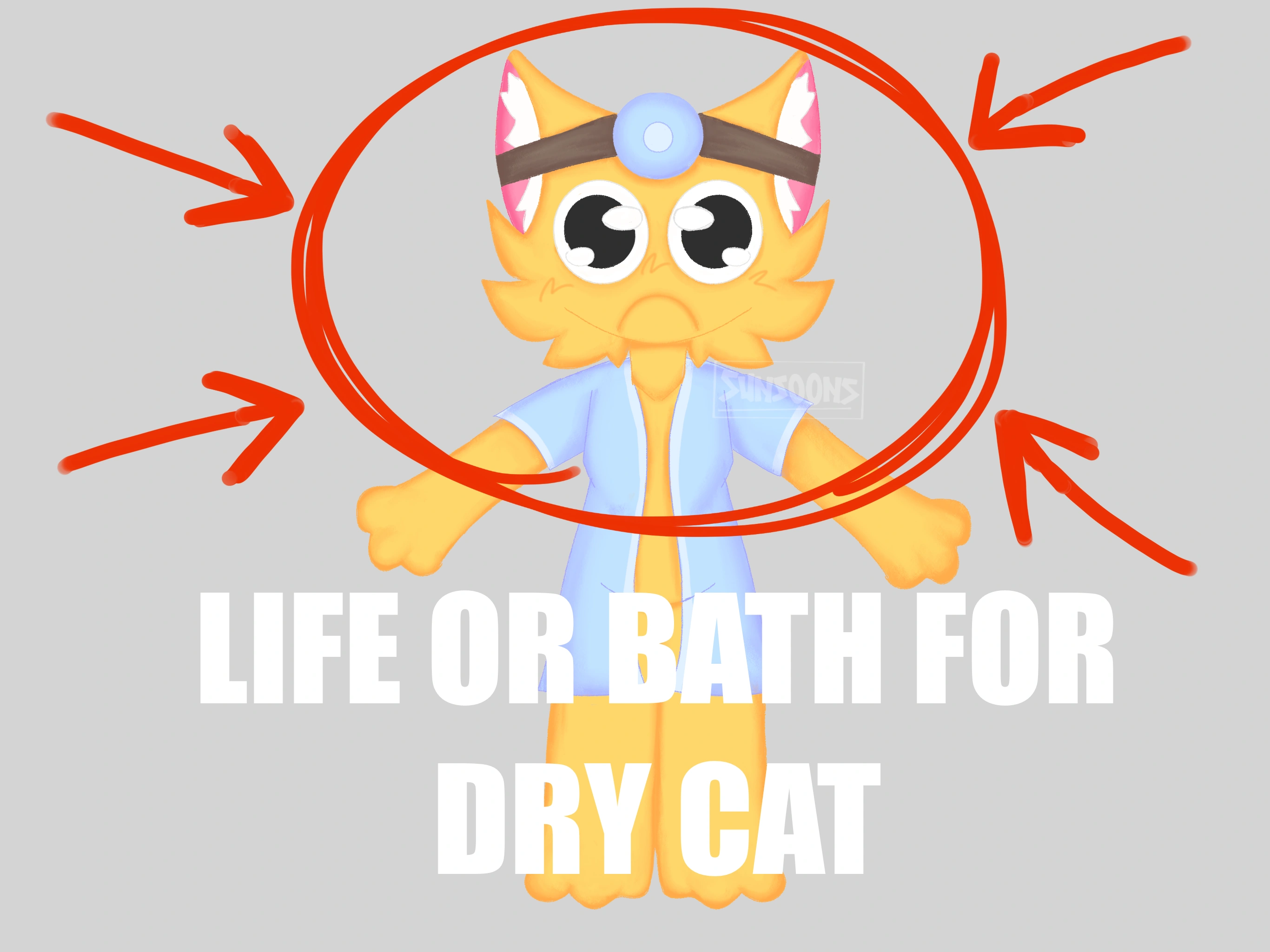 Life or bath for dry cat | Fandom