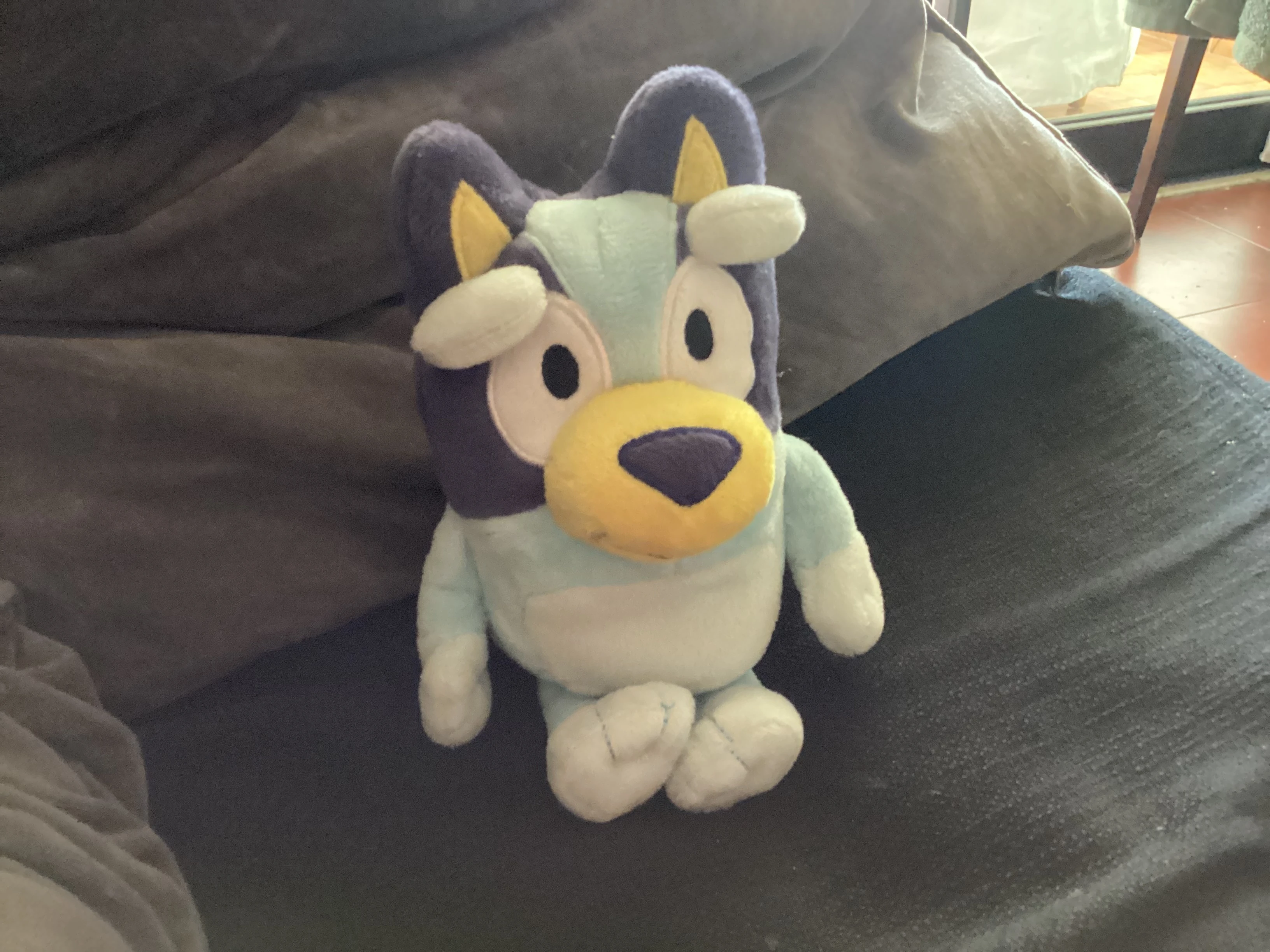Everyone reply to me is it a real bluey plushie | Fandom