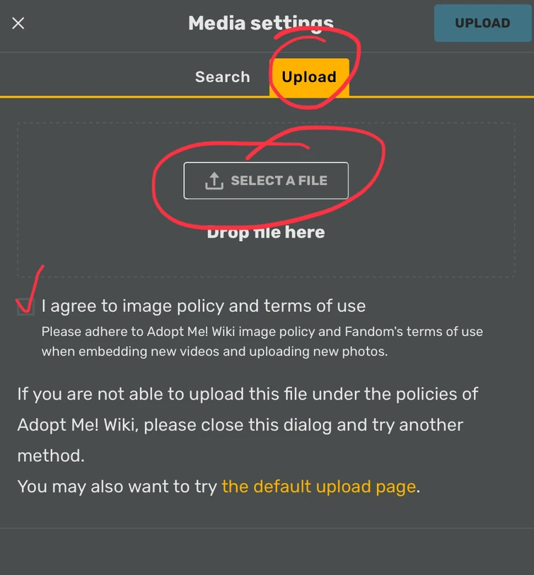 how do you add an image into article? Like how do you get the name/etc ...
