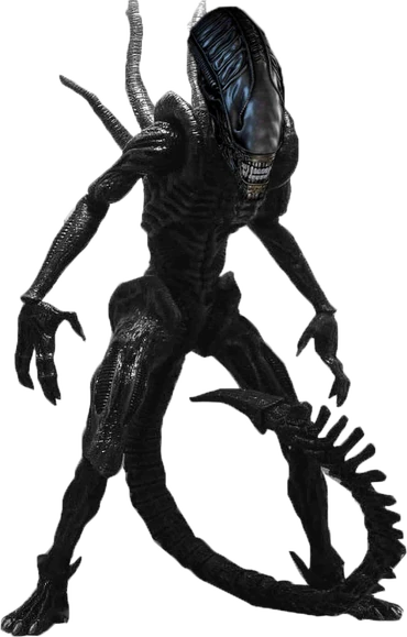 Xenomorph vs Scar (Alien vs Lion King) | Fandom