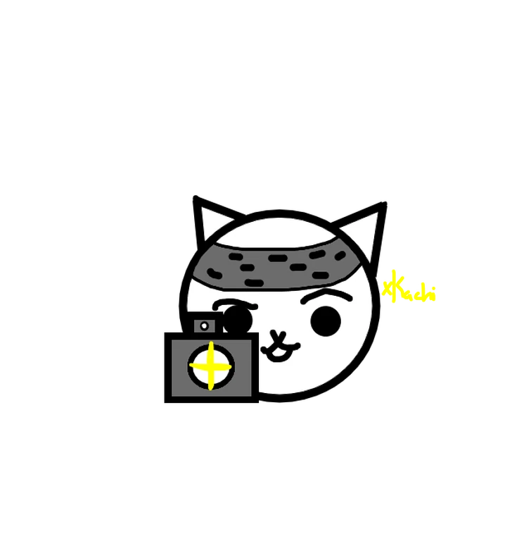 Cameraman Cat (Caught in 4K) | Fandom