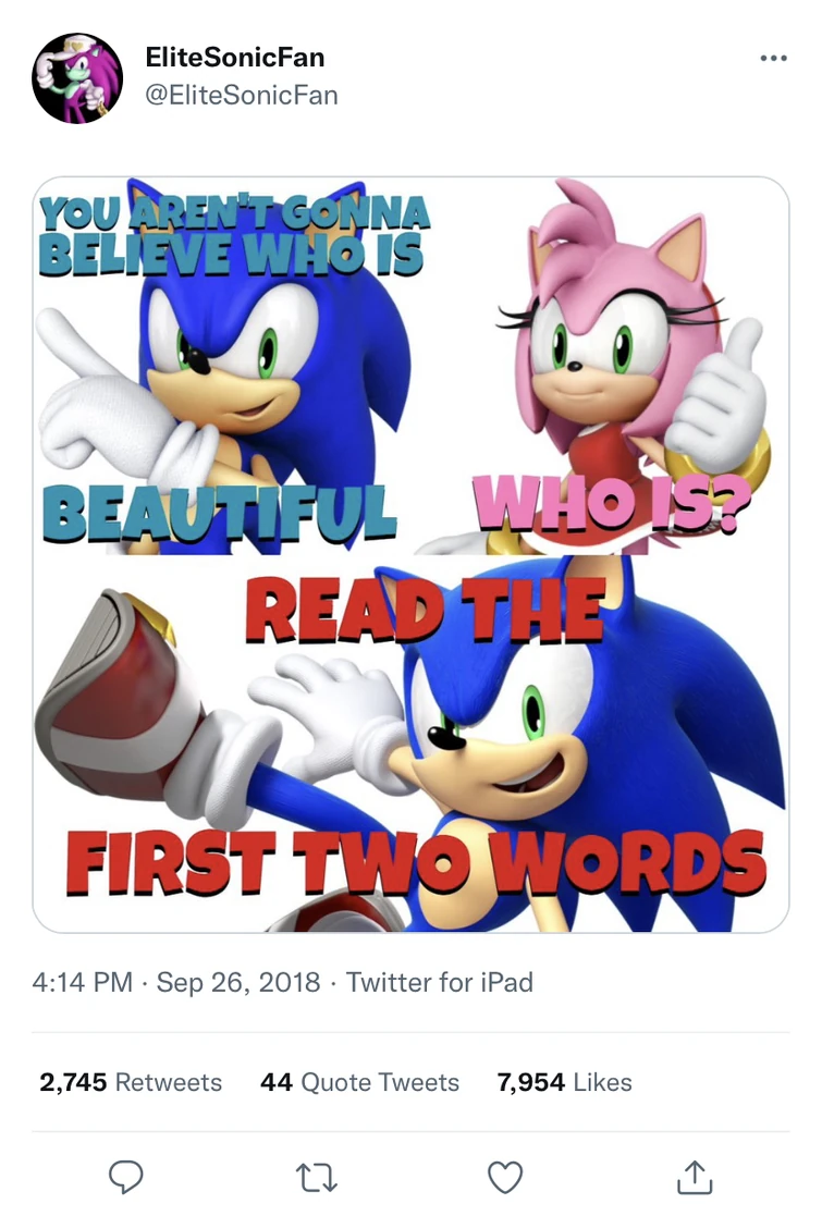 Sonic roasts Amy 2: Electric Boogaloo | Fandom