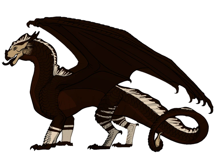 i colored some sandwing oc refs bc i felt like it. | Fandom