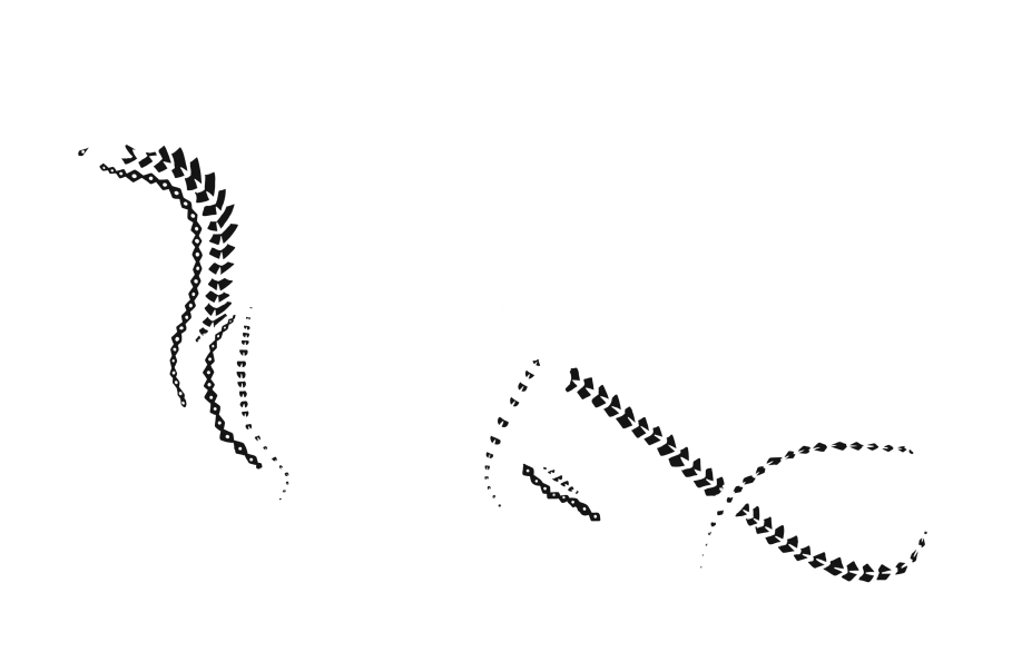 Any SandWing base with diamond patterns? | Fandom