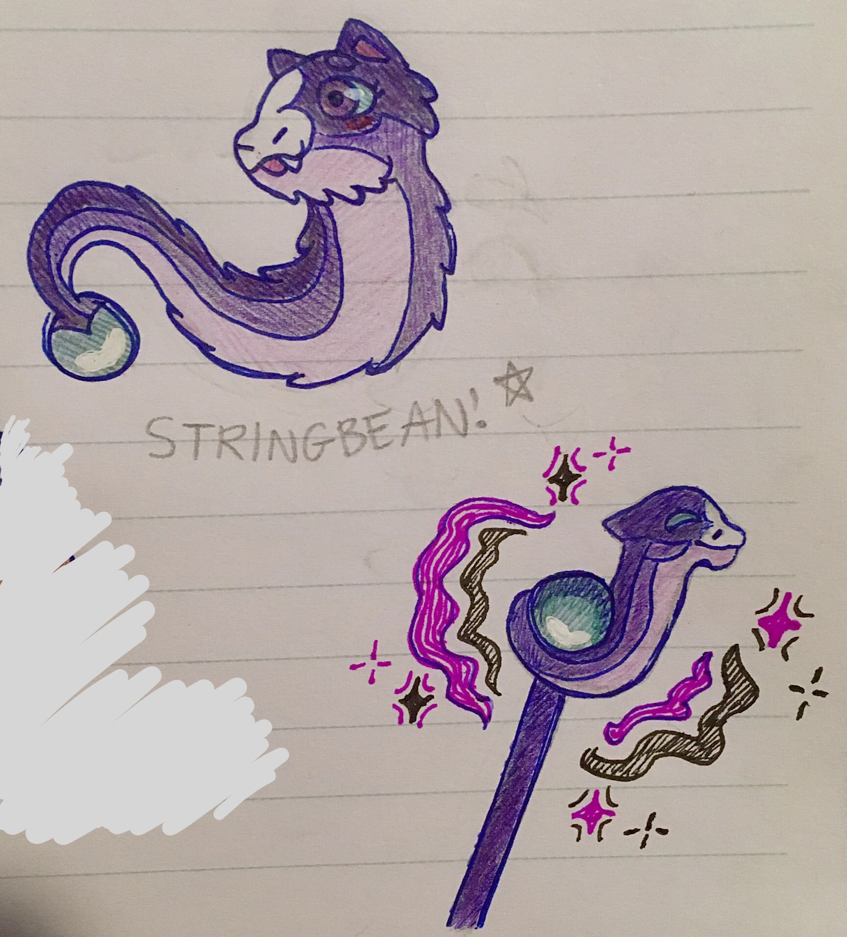 stringbean doodles!! | Fandom