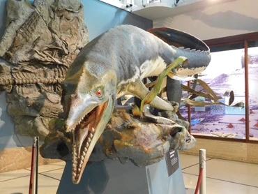 Discuss Everything About Dinopedia | Fandom