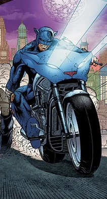 Wildcat (Ted Grant) | Wiki Dcandmarvelheroes | Fandom