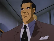 Category:Batman rogues | DC Animated Universe | Fandom