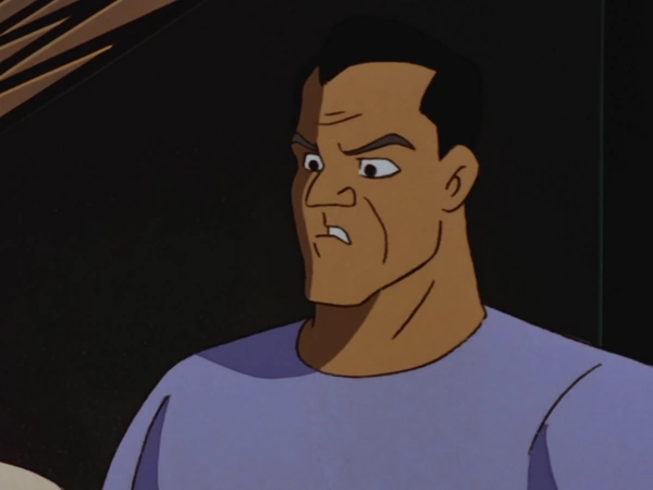 Raven | DC Animated Universe | Fandom