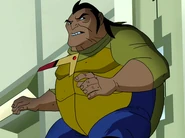 Flash Museum | DC Animated Universe | Fandom