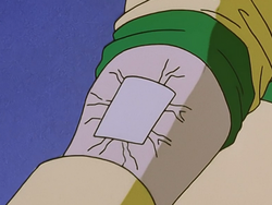 Slapper | DC Animated Universe | Fandom