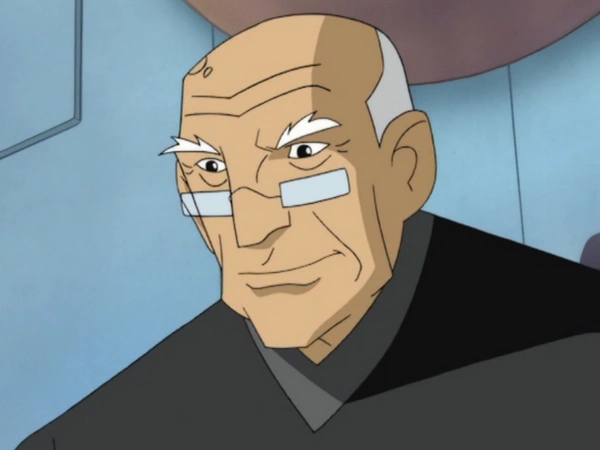 Judge Linden | DC Animated Universe | Fandom