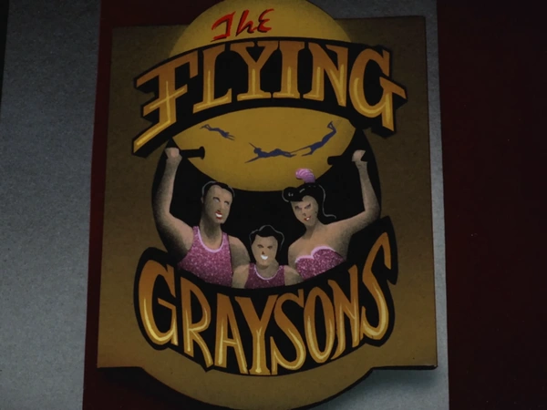 Flying Graysons | DC Animated Universe | Fandom