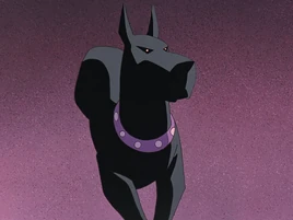 Ace (dog) | DC Animated Universe | Fandom