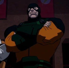 Mirror Master | DC Animated Movie Universe Wiki | Fandom