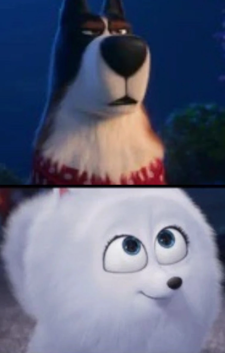 Gidget Thanks Rooster | Fandom