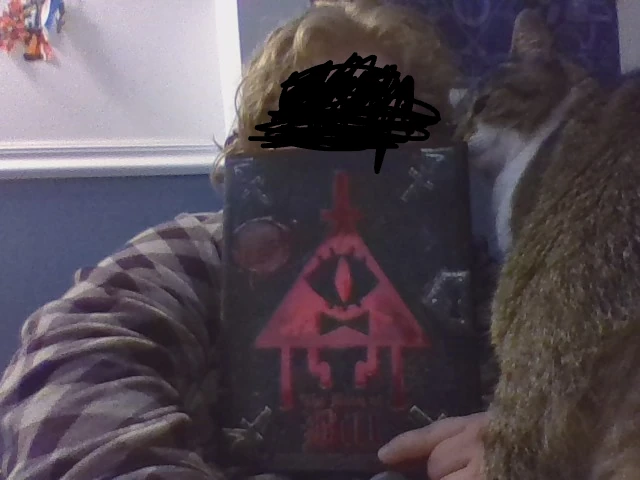 BOOK OF BILL ARRIVED | Fandom