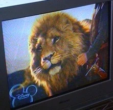 December 7, 2009 | Disney Channel Broadcast Archives Wiki | Fandom