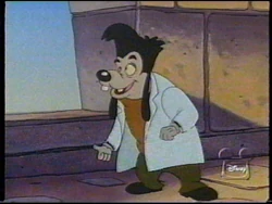 December 2, 1997 | Disney Channel Broadcast Archives Wiki | Fandom