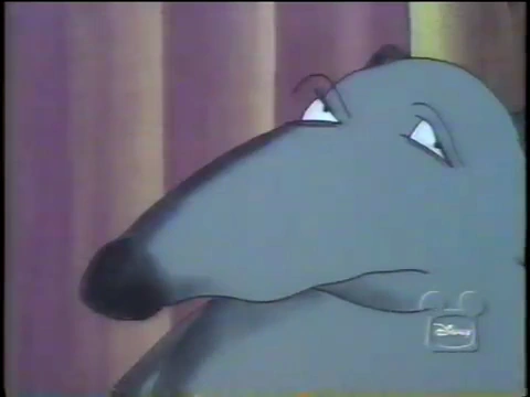 February 28, 1998 | Disney Channel Broadcast Archives Wiki | Fandom