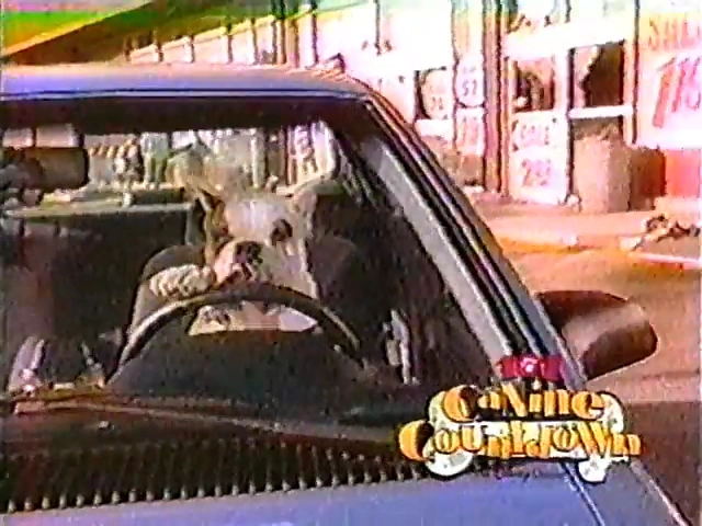 November 30, 1996 | Disney Channel Broadcast Archives Wiki | Fandom