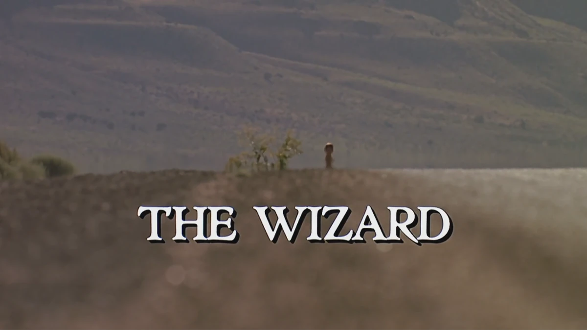 The Wizard | Disney Channel Broadcast Archives Wiki | Fandom
