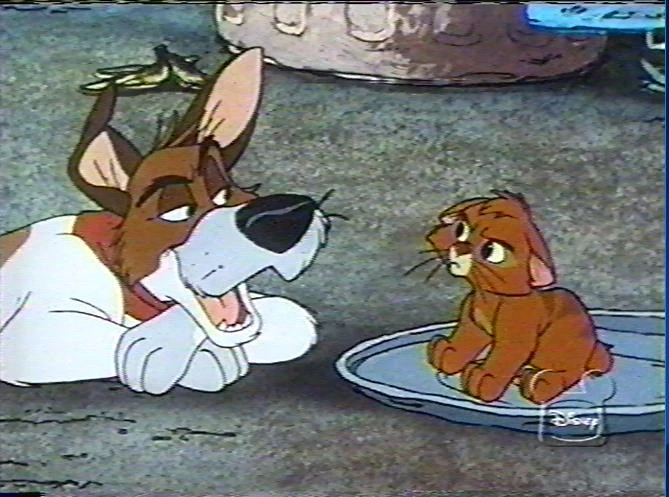 June 18, 1999 | Disney Channel Broadcast Archives Wiki | Fandom