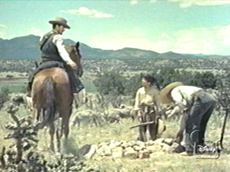 April 7, 1998 | Disney Channel Broadcast Archives Wiki | Fandom