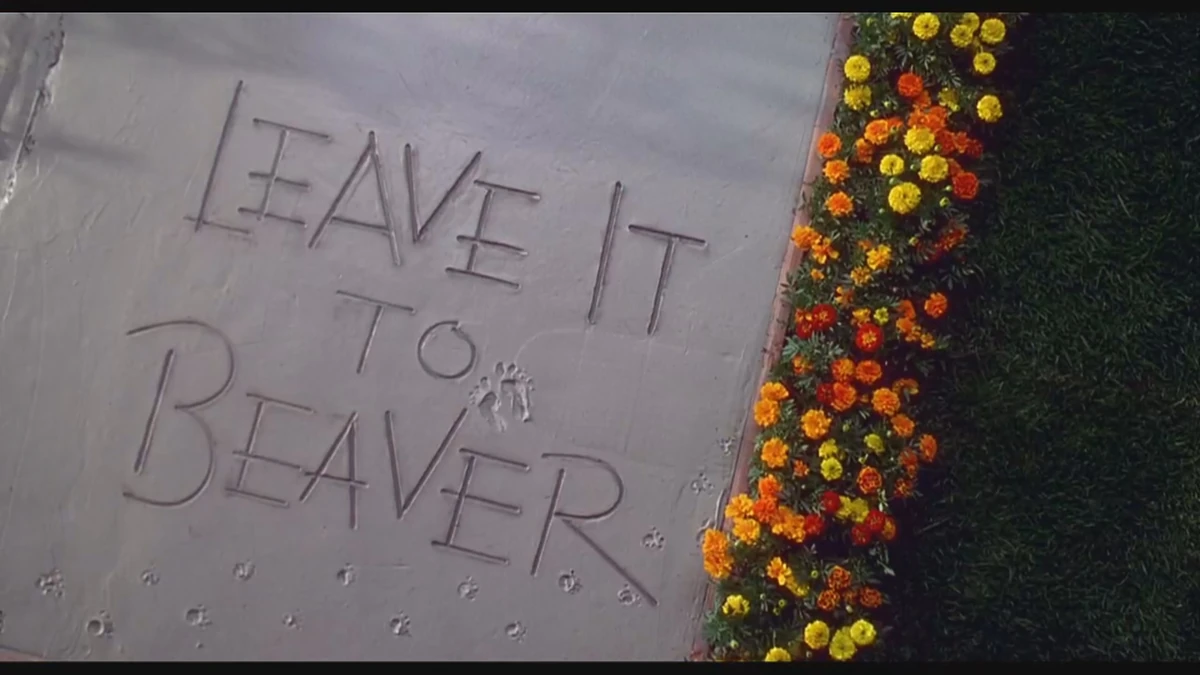 Leave It to Beaver (film) | Disney Channel Broadcast Archives Wiki | Fandom